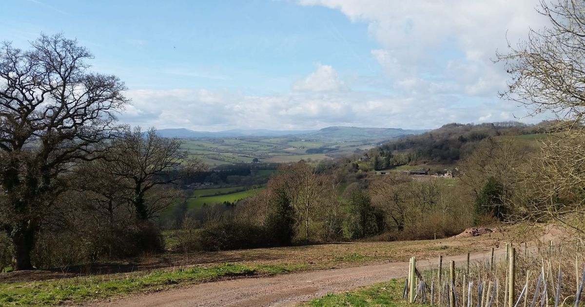 Osbaston and Buckholt Meander - Ramblers